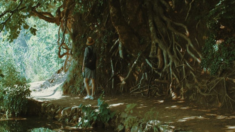 How Is Tourism Good for the Environment? Learn the Benefits